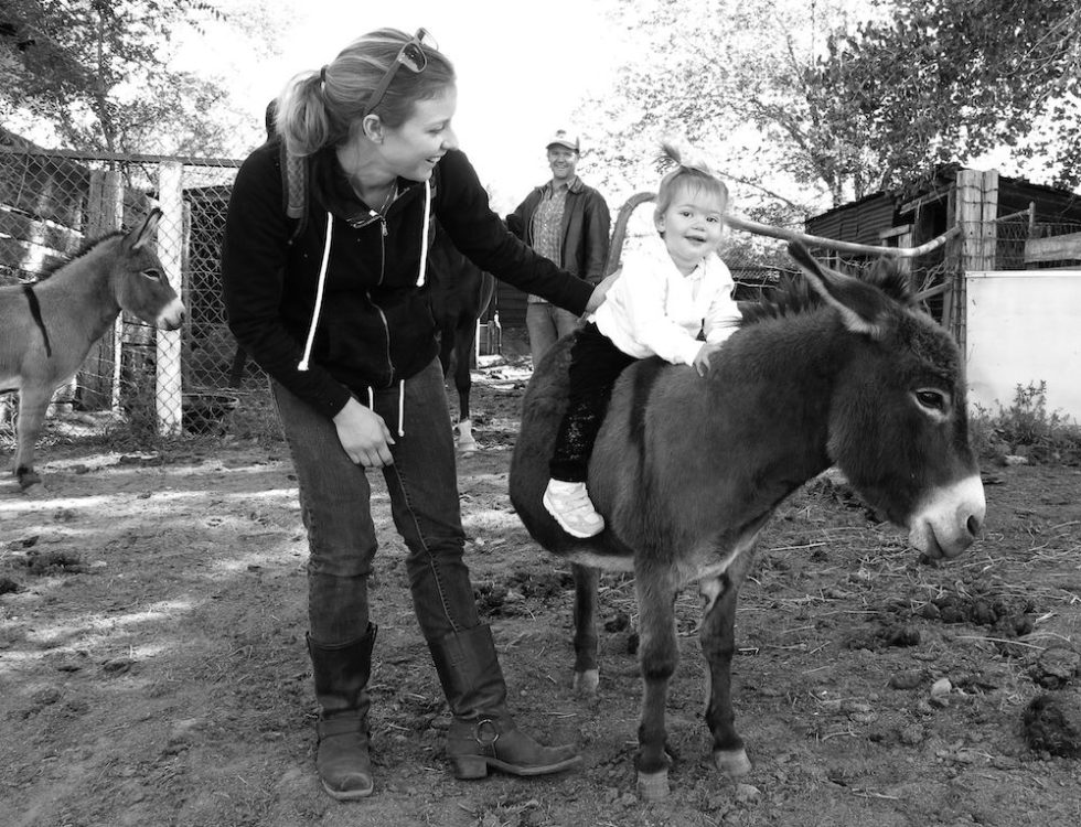 Workshops - Happy Rascal Ranch