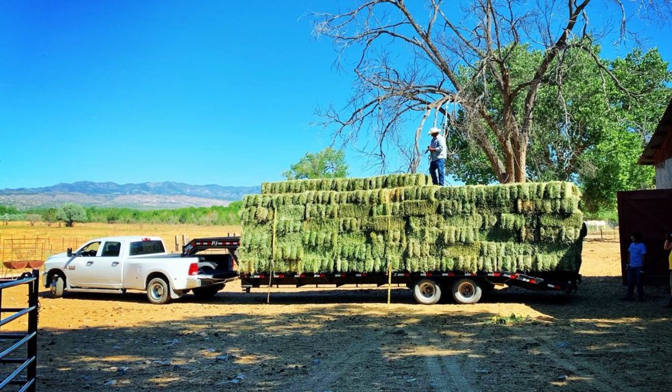 Donate - Happy Rascal Ranch